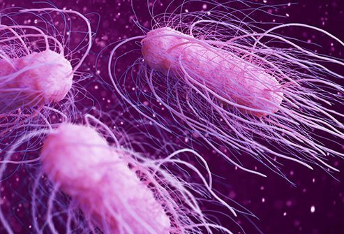 How long after eating does salmonella start?