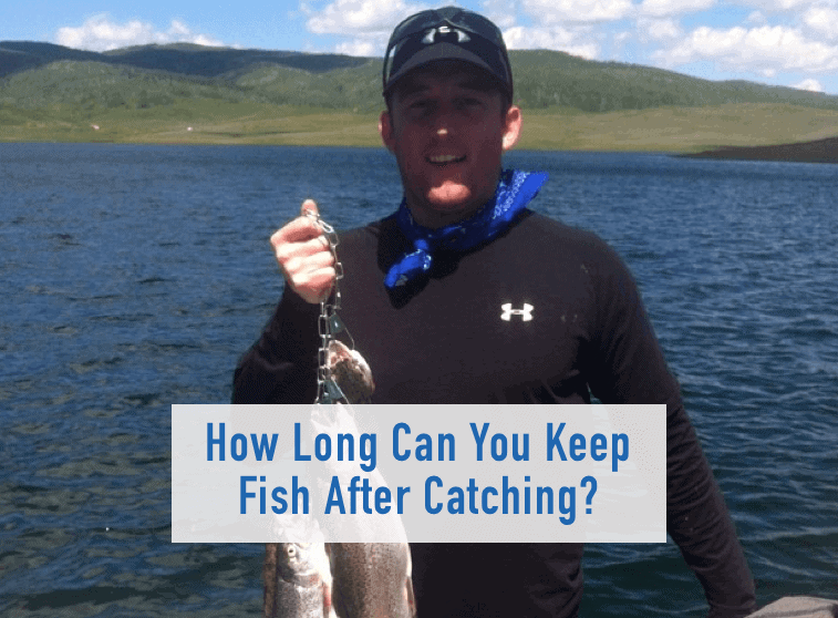 How long are fish good for after catching?