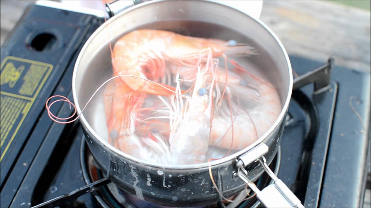 How long boil live prawns?