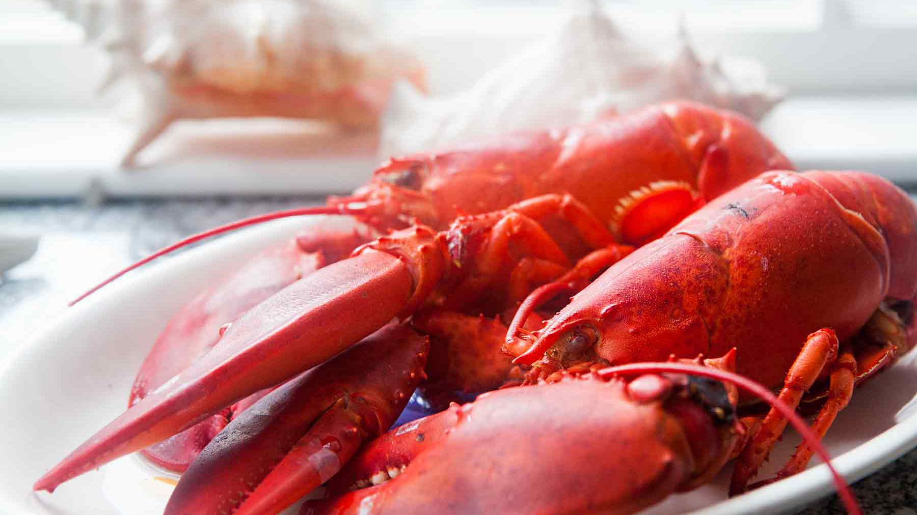How long boil multiple lobsters?