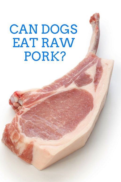 How long can a dog stay in a frozen pork chop?
