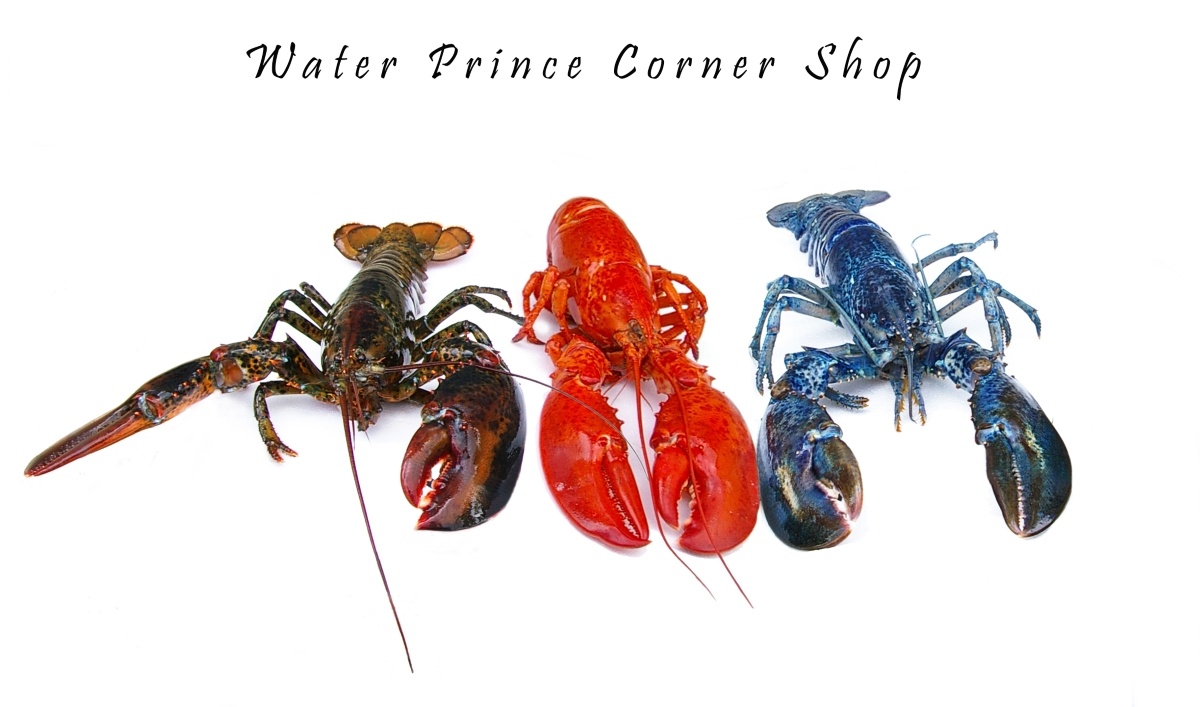 How long can a lobster survive out of water?