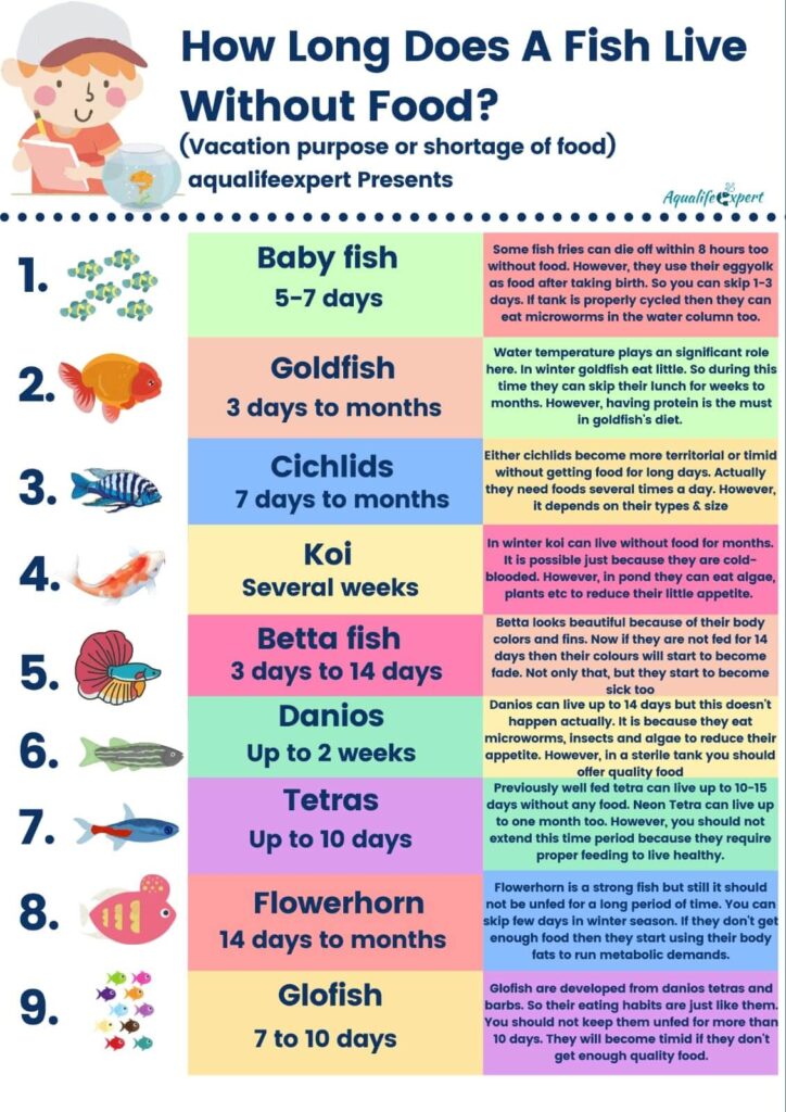 How long can baby fish survive without food?