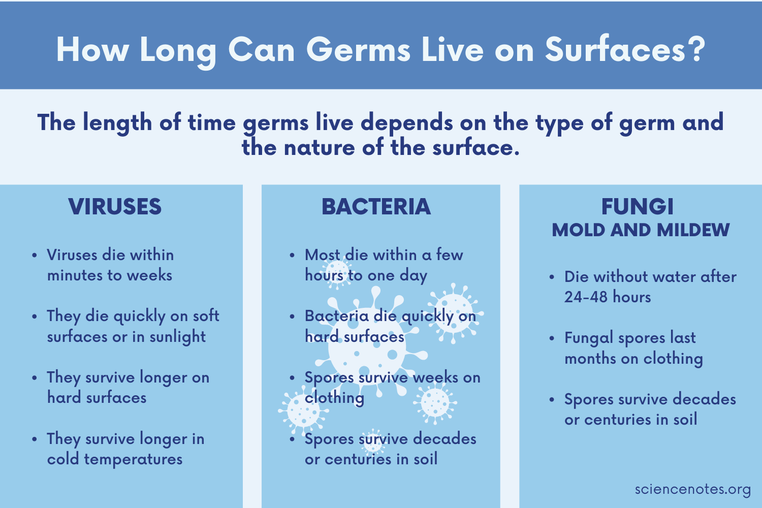 How long can bacterial spores survive?