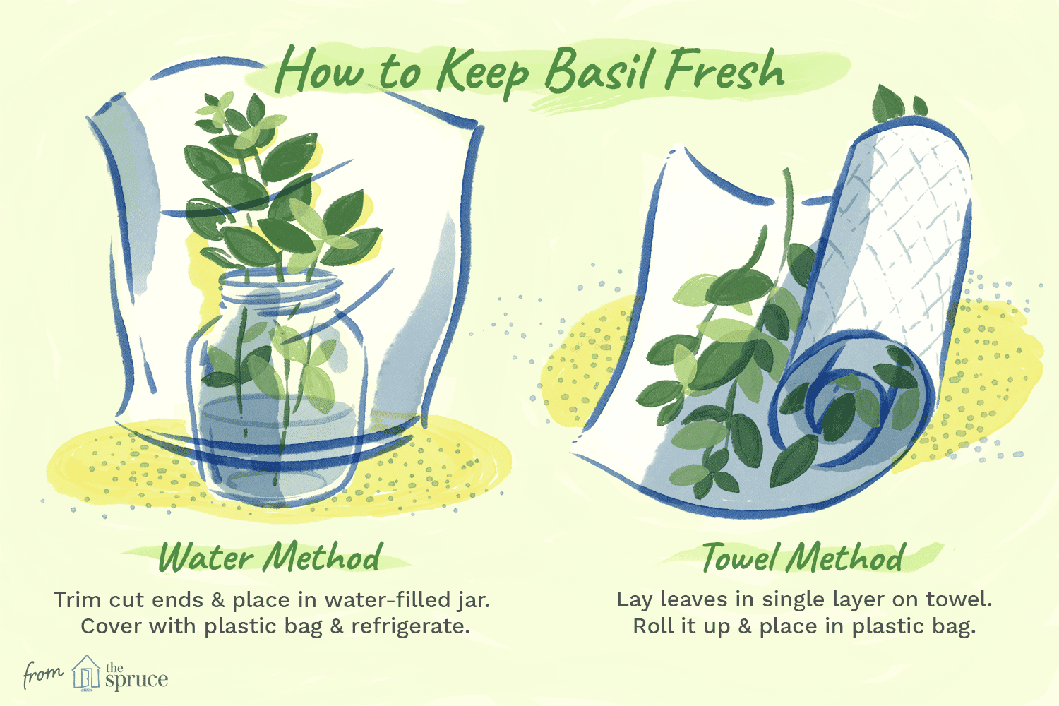 How long can basil be stored?