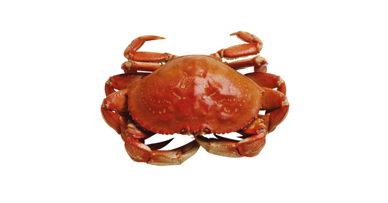 How long can cleaned uncooked crabs last in the fridge?