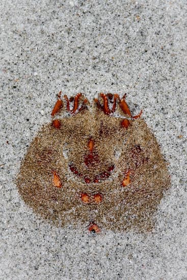 How long can crab meat stay out of fridge?