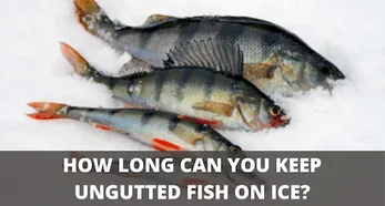 How long can fish be frozen before cleaning?