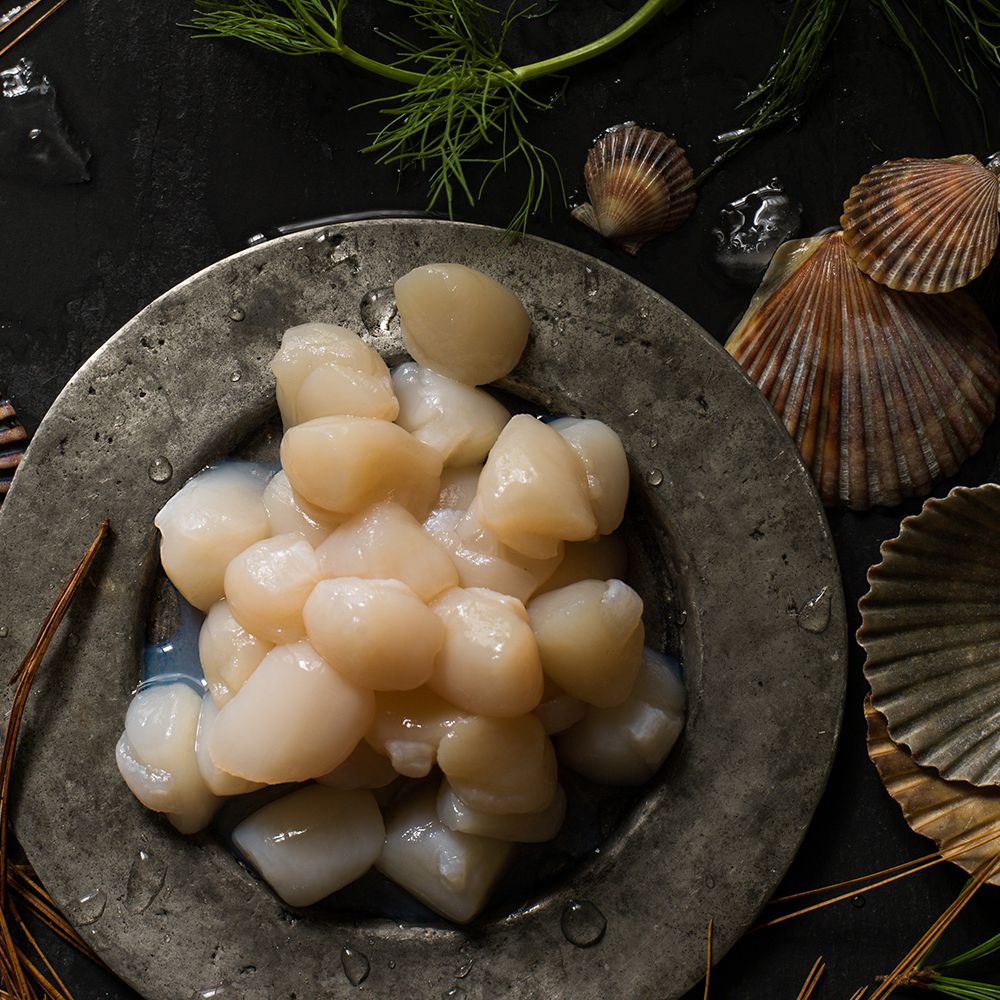 How long can fresh scallops sit out?
