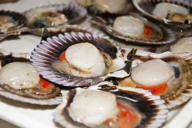 How long can frozen scallops stay in the freezer?