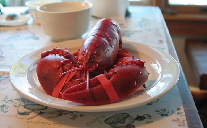 How long can I keep cooked lobster in the refrigerator?