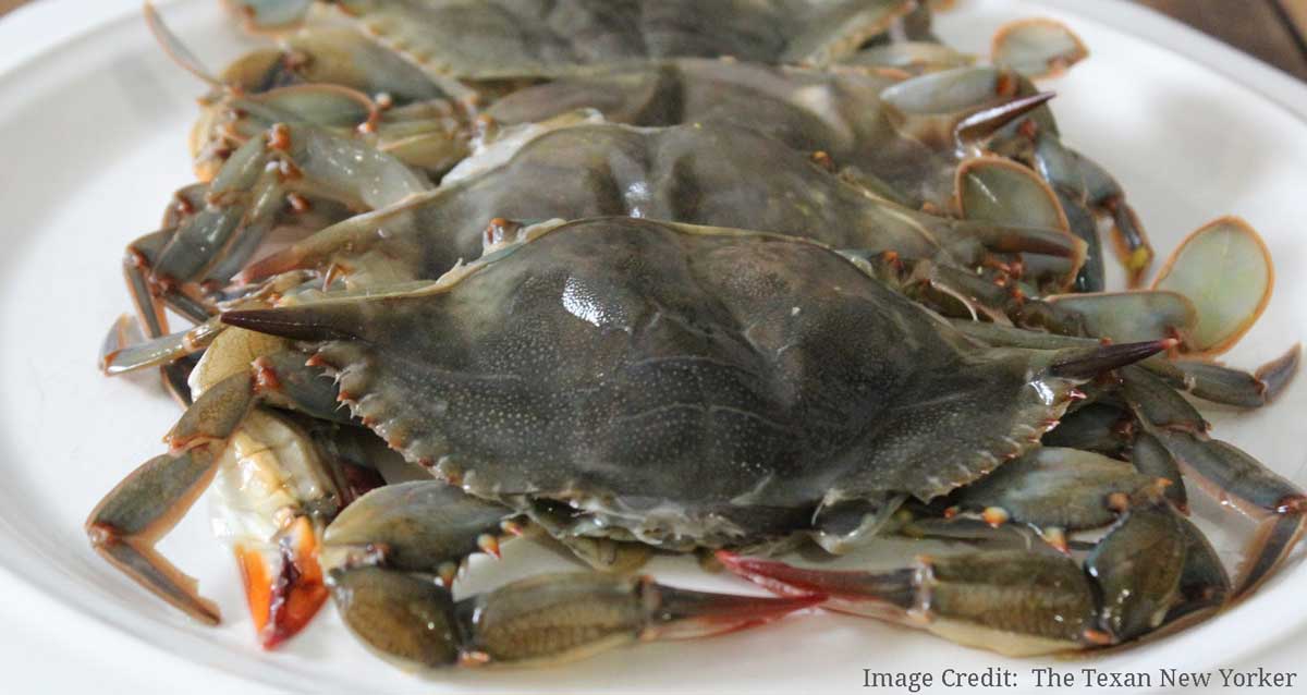How long can soft shell crabs last in fridge?