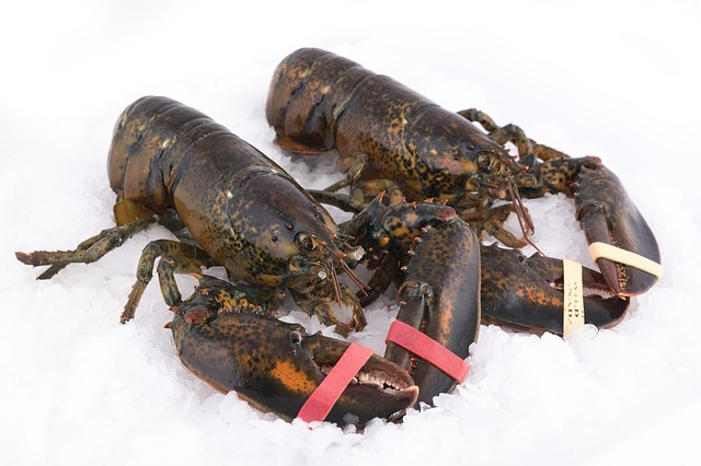How long can uncooked lobster be frozen?
