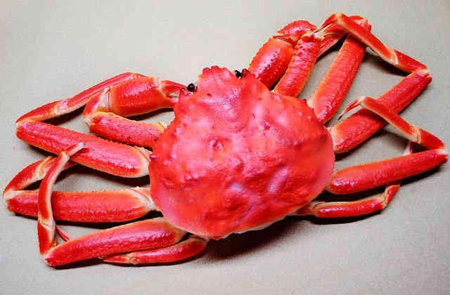 How long can you eat raw crab meet?