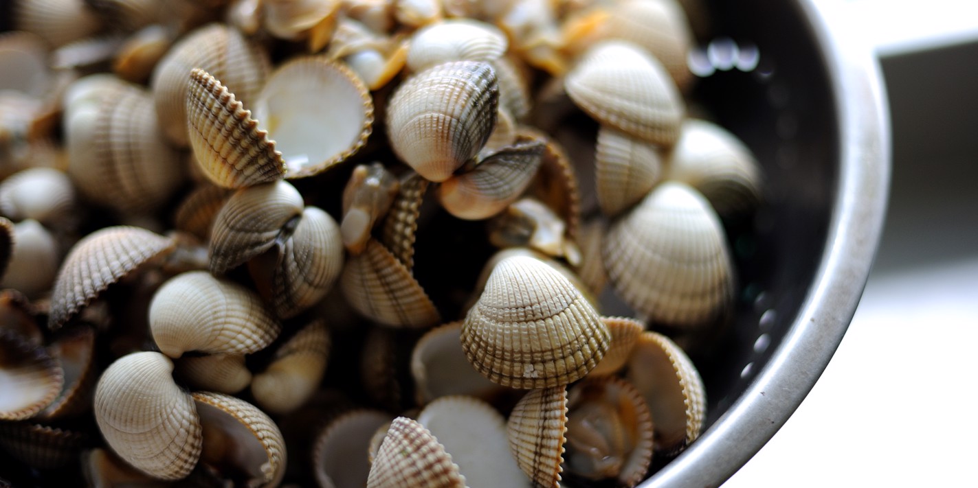 How long can you keep cockles for?