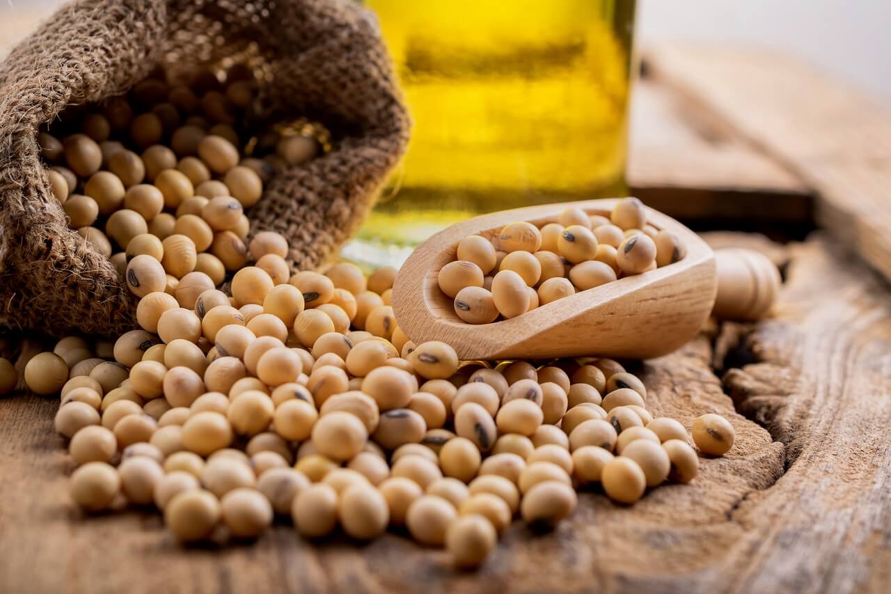 How long can you keep soy bean?