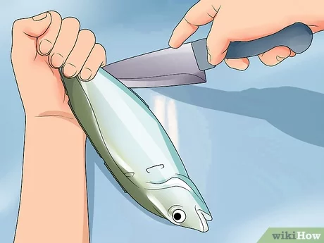 How long can you wait before gutting a fish?