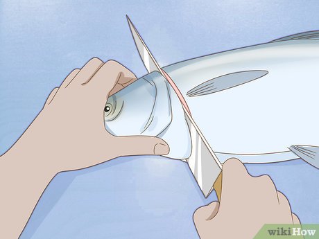 How long can you wait to fillet a fish?