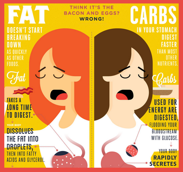 How long can your body use fat for energy?