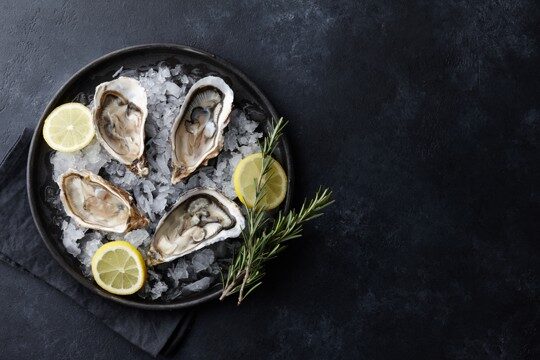 How long do fresh canned oysters last?