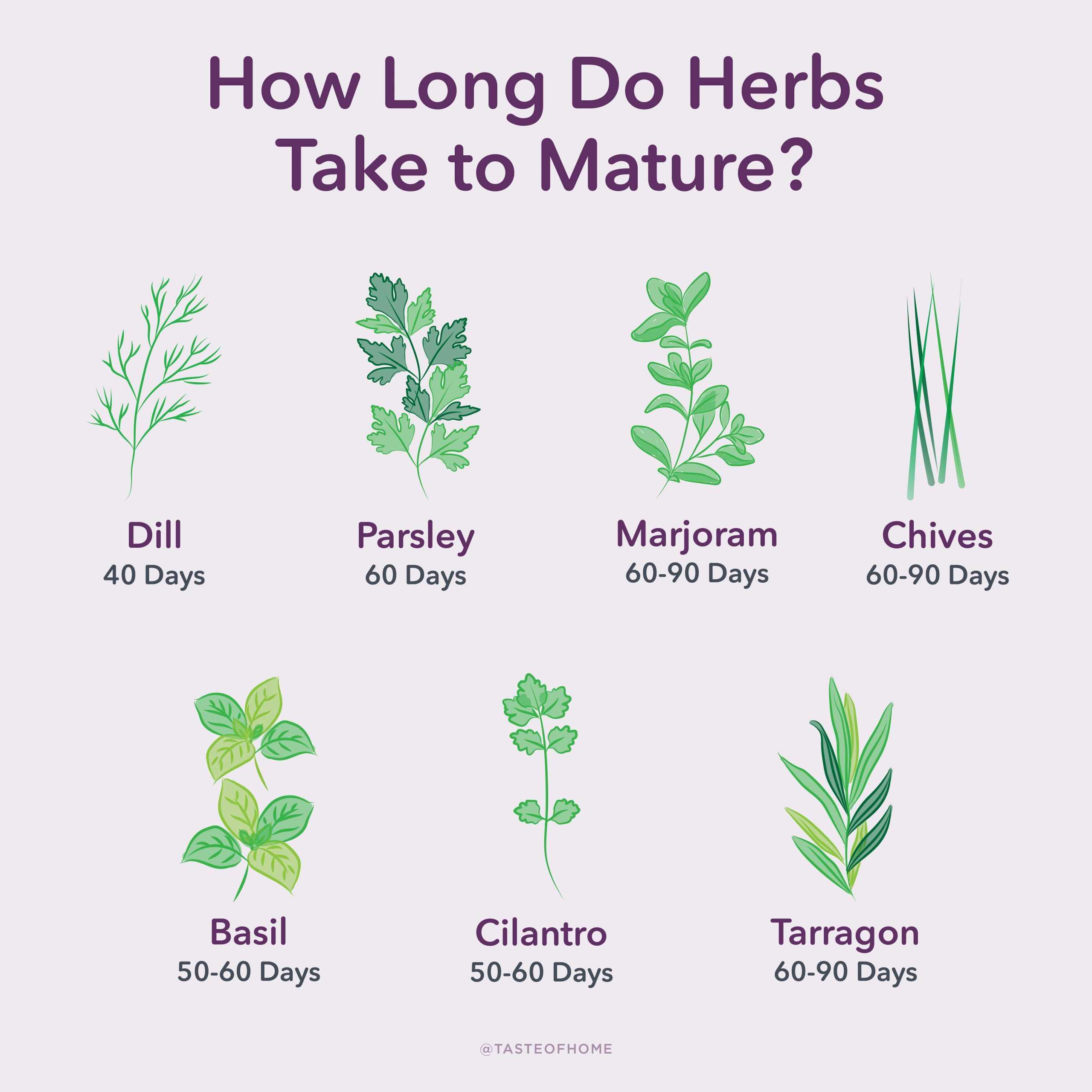 How long do herbs take to start working?