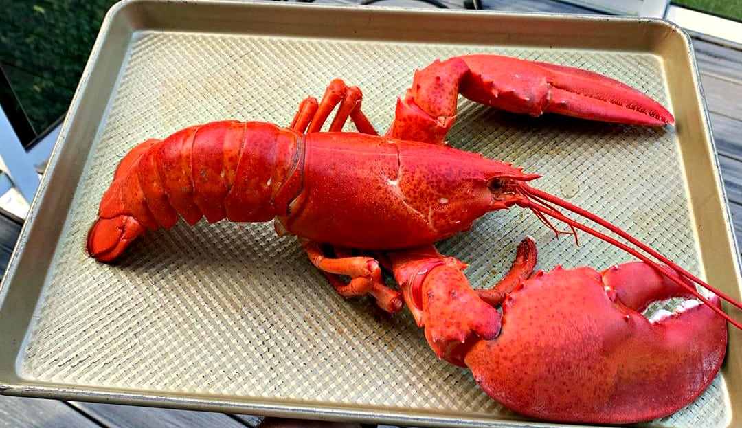 How long do I cook a 3lb lobster?