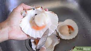 How long do raw scallops last after sell by date?