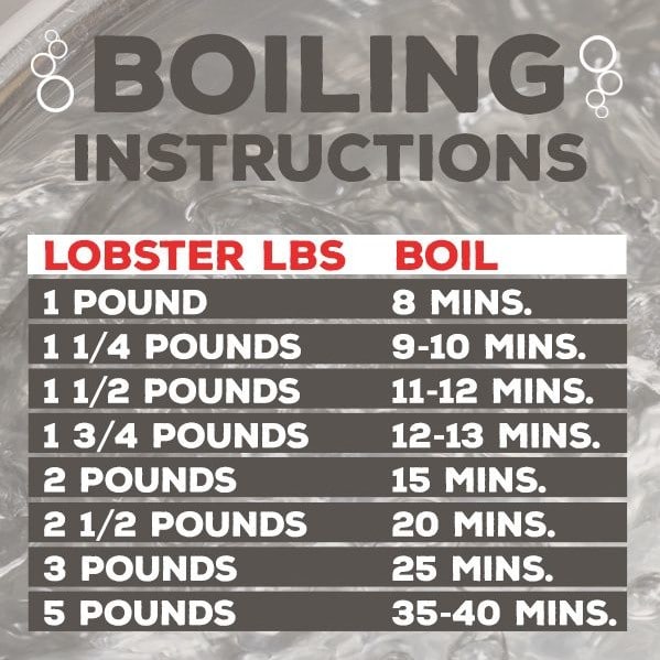 How long do you boil 5 lobsters?