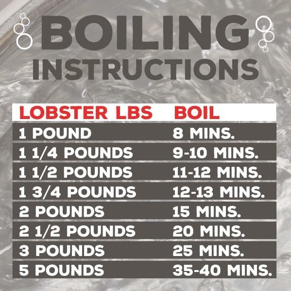 How long do you boil 8 lobsters?
