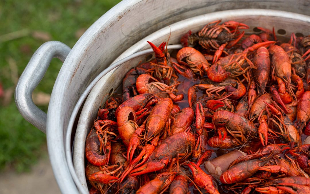 How long do you boil crawfish?