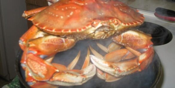 How long do you boil frozen Dungeness crab?