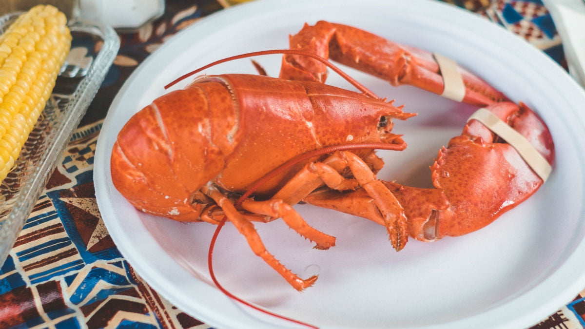 How long do you cook a 1kg lobster?