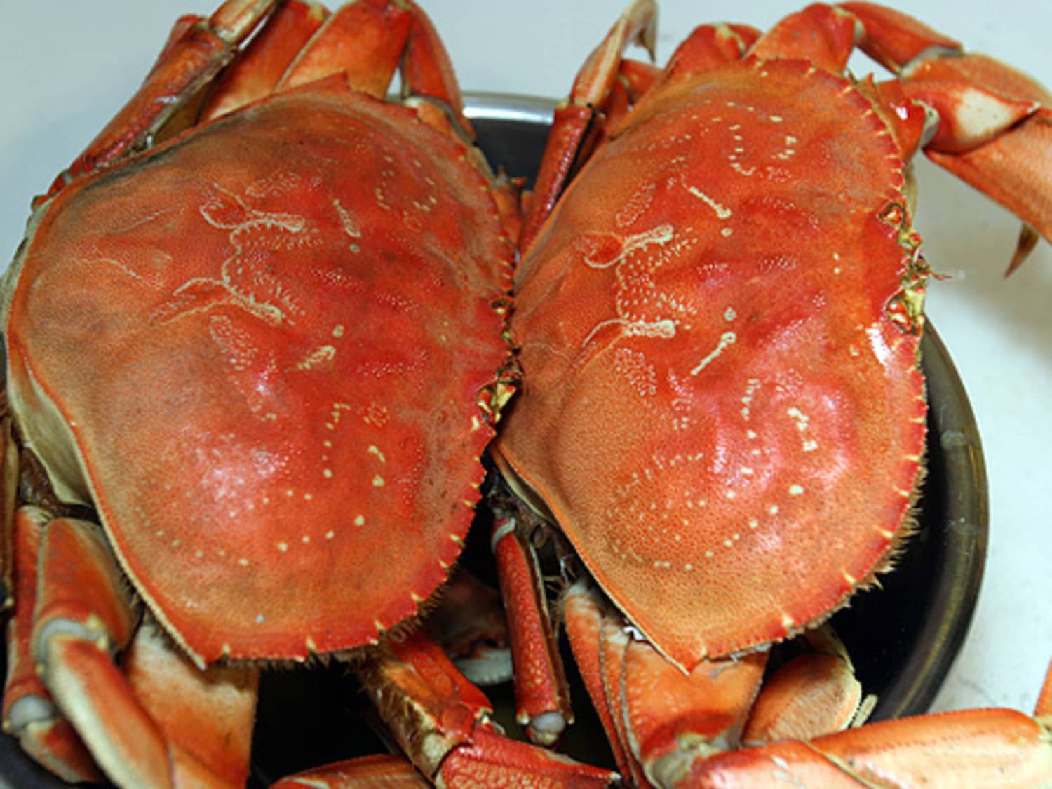 How long do you cook cleaned Dungeness crab?