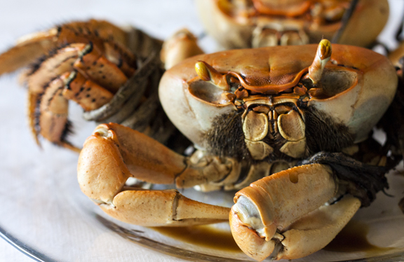 How long do you cook land crabs?