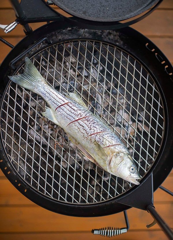 How long do you put fish on the grill?