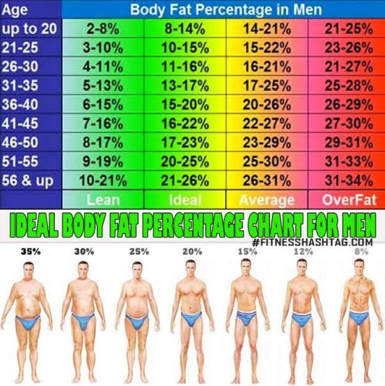 How long does body fat take to break down?