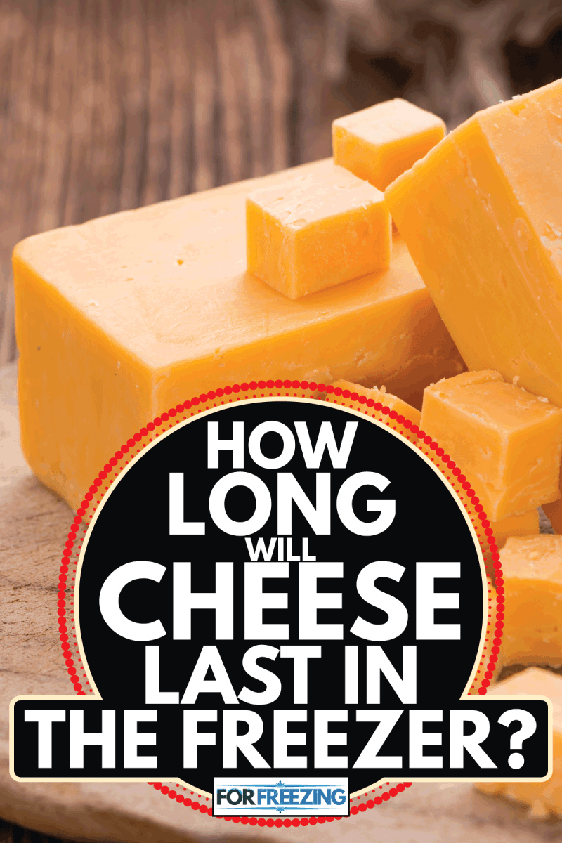 How long Does Cheese last in the freezer?