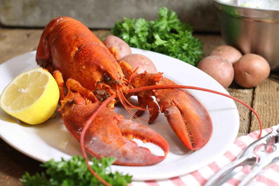 How long does cooked lobster last?