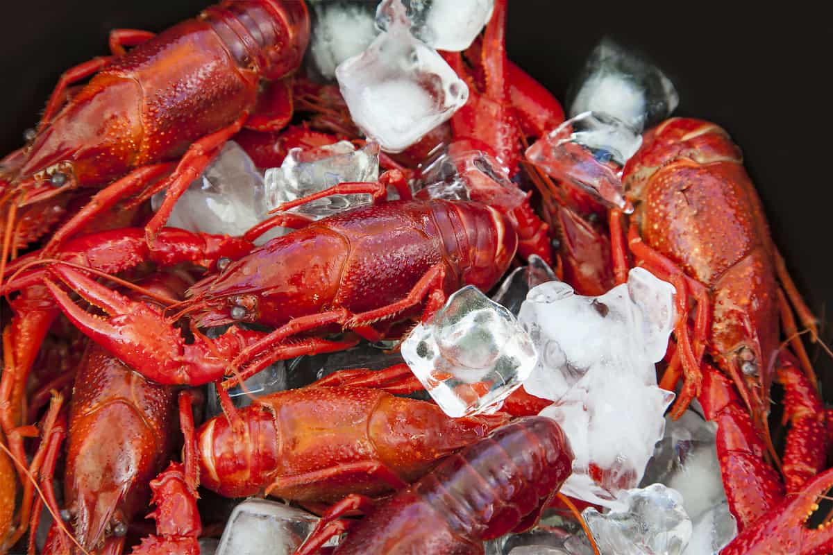 How long does crawfish last in the freezer?