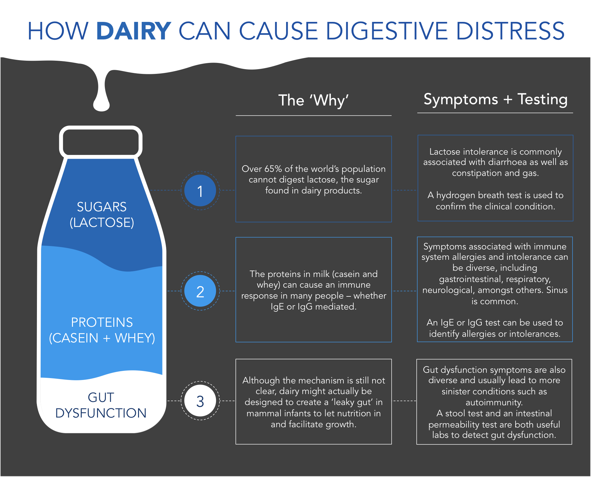 How long does dairy stay in the gut?
