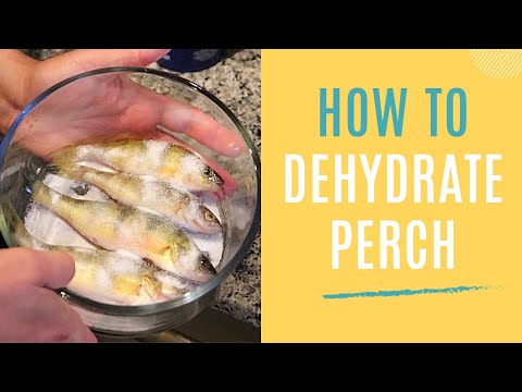 How long does dehydrated fish last?