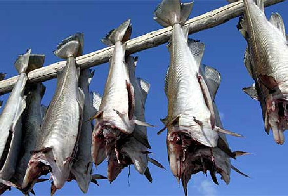 How long does dried stock fish last?