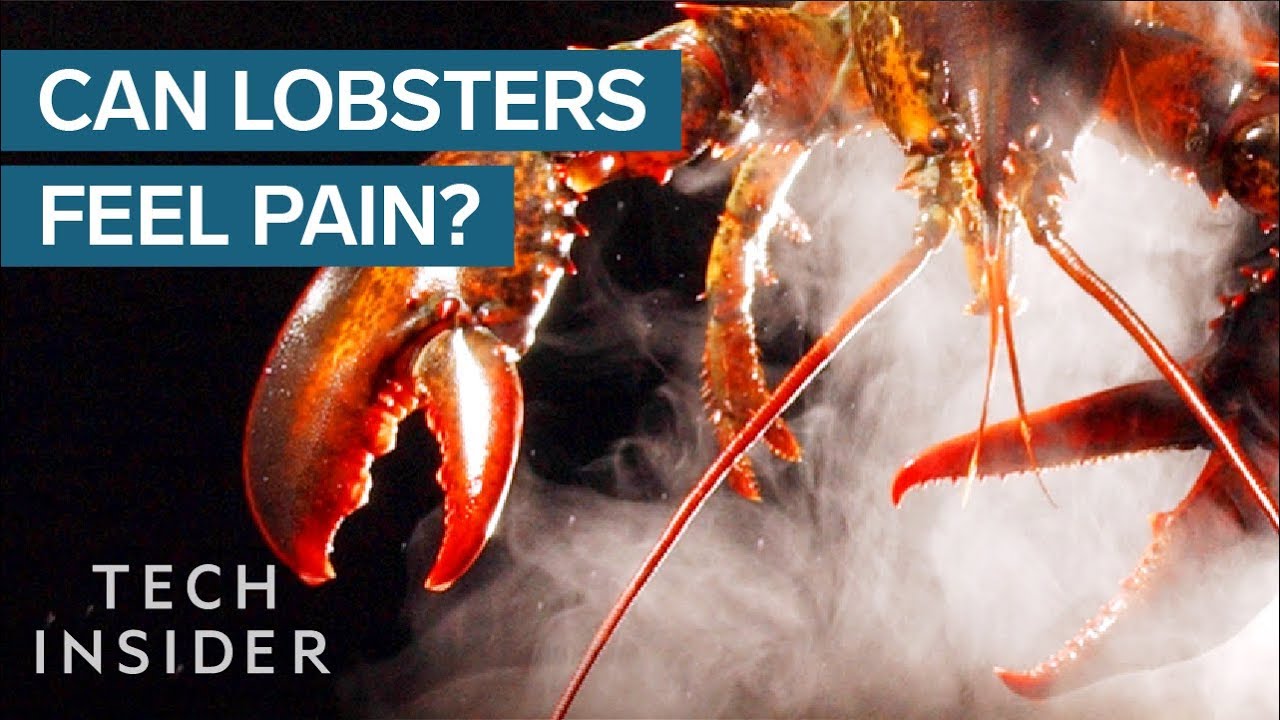 How long does food poisoning from lobster last?