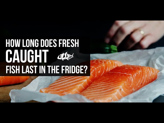 How long does fresh caught fish last in the fridge?
