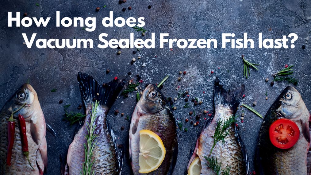 How Long Does Frozen fish last vacuum sealed?