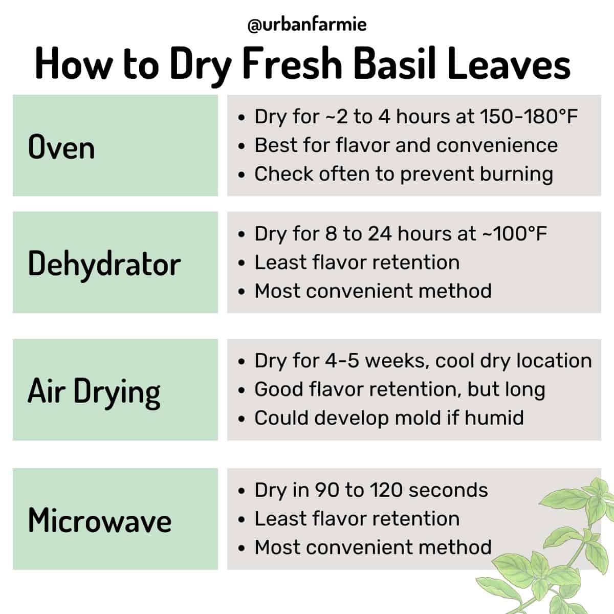 How long does it take for Basil to dry out?