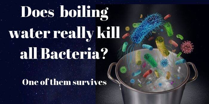 How long does it take for boiling water to kill bacteria?