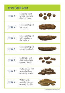 How long does it take for bowels to return to normal after constipation?