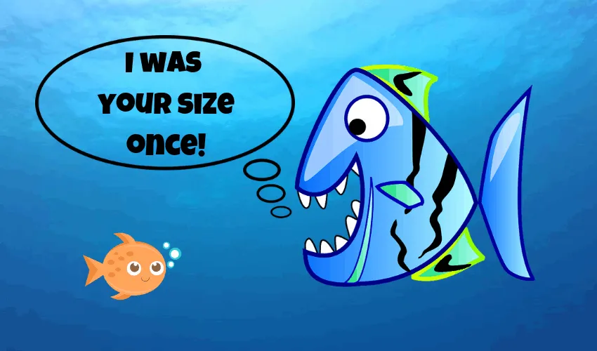 How long does it take for fish to grow full size?