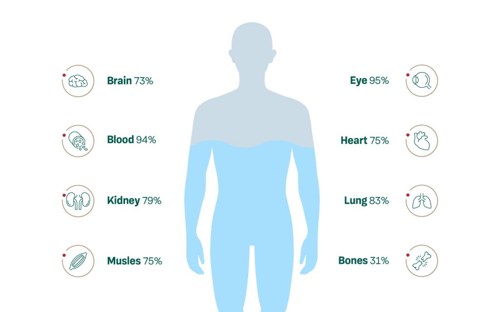 How long does it take for liquid to leave your stomach?